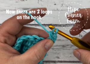 How to Double Crochet Two Together (DC2Tog) - Hope Corner Farm
