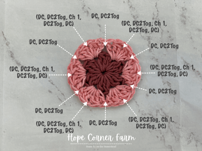 Easy Ombre Granny Hexagon Crochet Pattern (Free Pattern + Tutorial ...